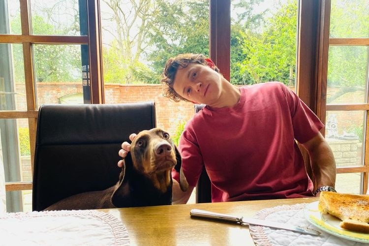 Ide Tom Holland Ditolak Oleh Marvel, Ide Apa Ya?