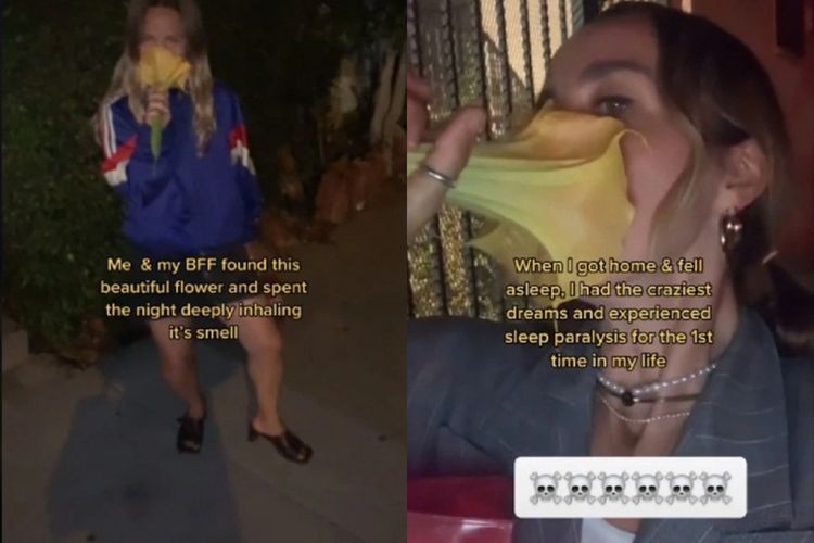 Wanita Ini Mencium Bunga Beracun Tanpa Mengetahui Efeknya ...