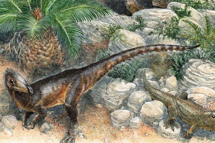 Paleontologi Berhasil Menemukan Spesies Dinosaurus Mirip Ayam, Dinamai ...
