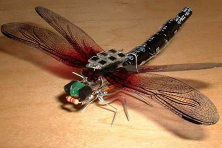 Unik! CIA Pernah Ciptakan Robot Capung untuk Jadi Alat Mata-Mata Lawannya!