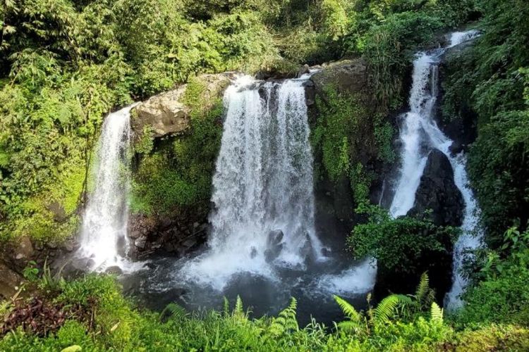 Asyiknya Tracking ke Curug Jenggala, di Perjalanan Bisa Liat Kandang Paus