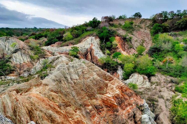 Intip Pesona Keindahan Alam Bukit Warna-warni di Pulau Rote NTT