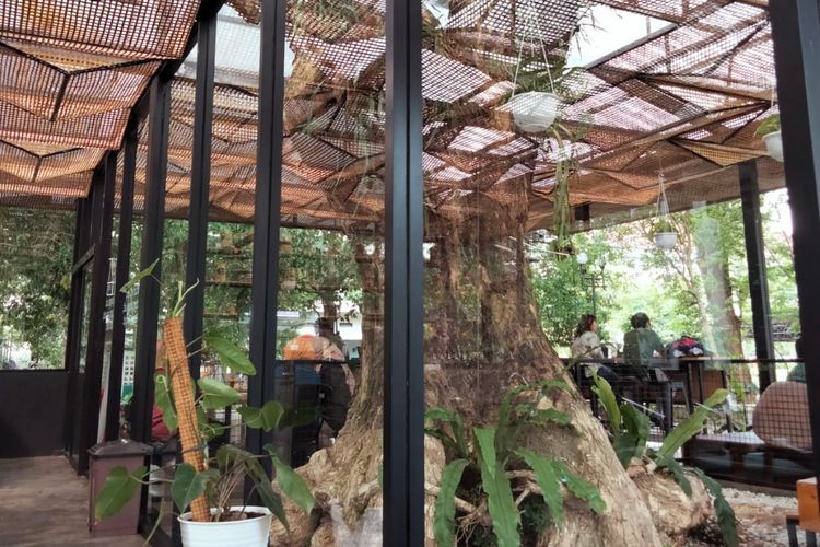 Zomia Co-Working Space, Kafenya Mahasiswa Kehutanan UGM, Tempat Rindang ...