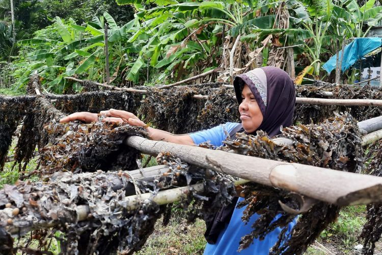 Rengkam, Sumber Cuan Bagi Warga Pesisir Pulau Batam saat Cuaca Ekstrem