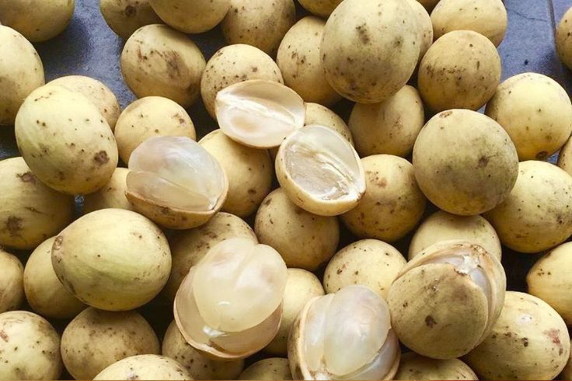 5 Fakta Menarik Buah Langsat yang Sekilas Mirip Duku