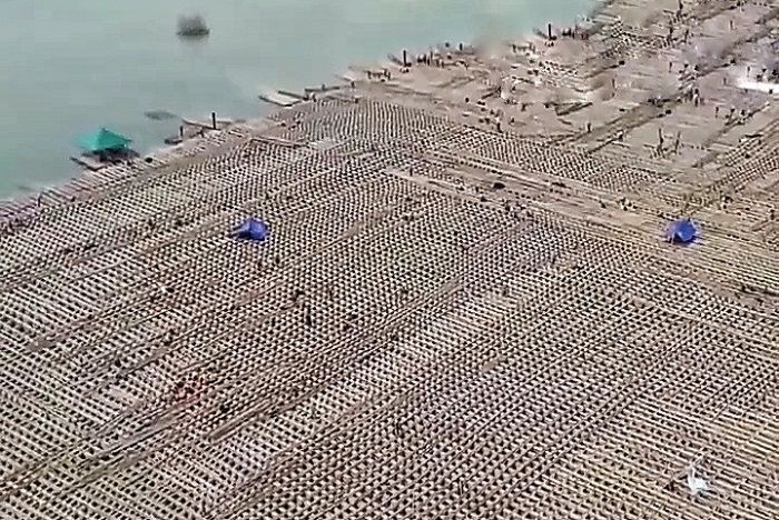 Keren! Tol dan Tanggul Laut Semarang-Demak Dibangun Pakai 10 Juta Bambu