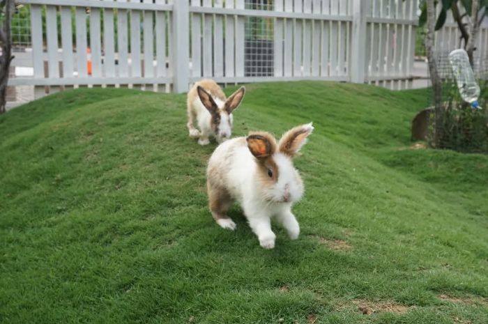 13 Tempat Wisata Terkenal di Batam yang Lagi Hits, Seru!